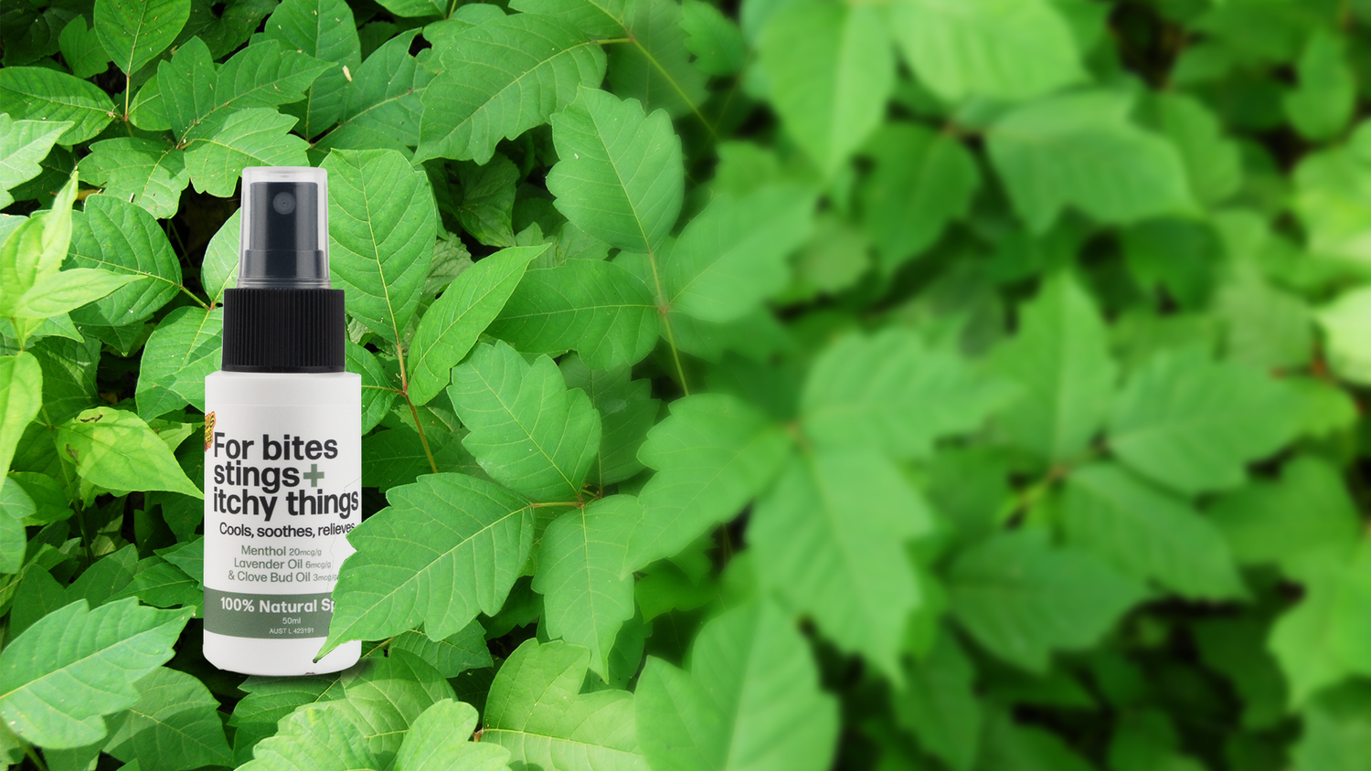 Bug-Grrr Off - NATURAL INSECT REPELLENT – Bug-grrr Off